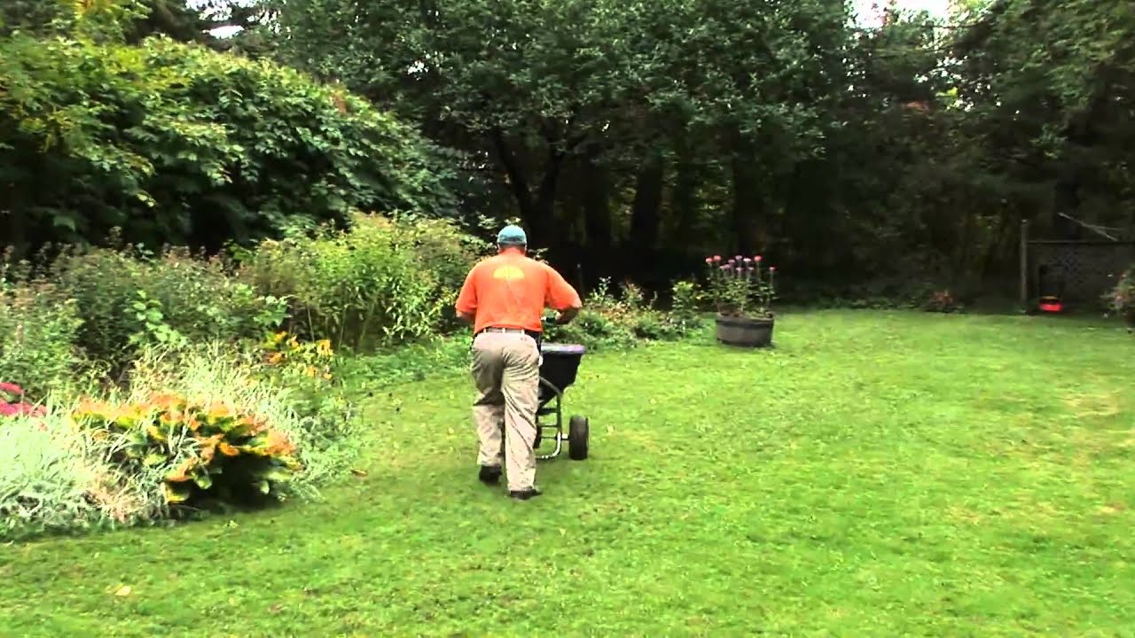 Environmental Factor Inc.'s Lawn Care Services - YouTube