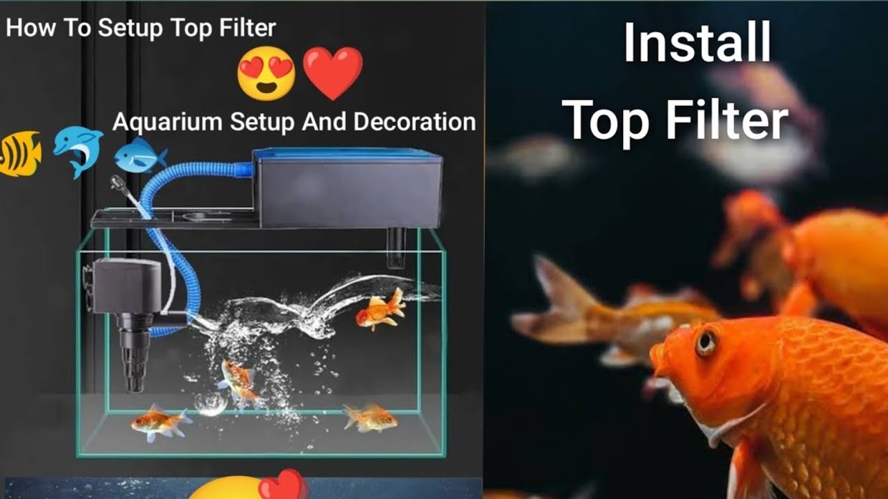 How To Setup Top Filter ||Install Top Filter||Aquarium setup and ...