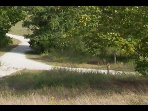 Pennington Park - YouTube