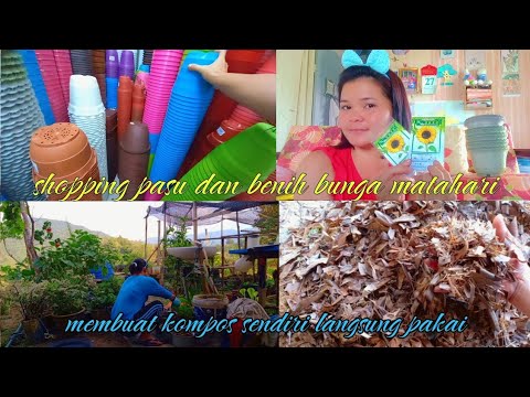 Beli Pasu Dan Benih Bunga Matahari | Membuat Kompos terus pakai ...