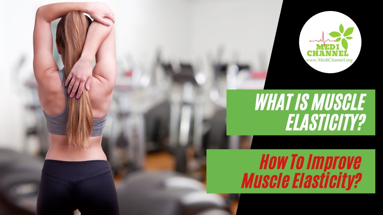 What is Muscle Elasticity? How To Improve Muscle Elasticity? - YouTube