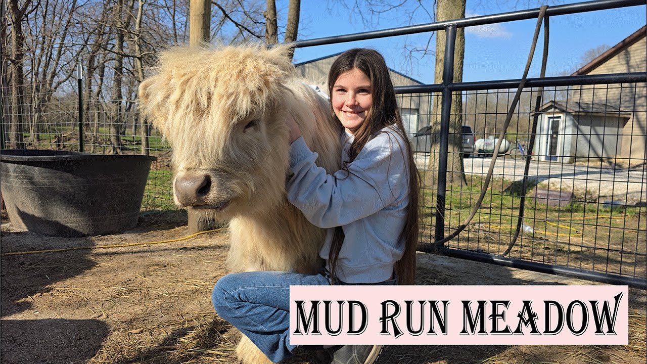 Morning Love & Treats for Our Farm Animals | A Blessed Day at Mud Run ...