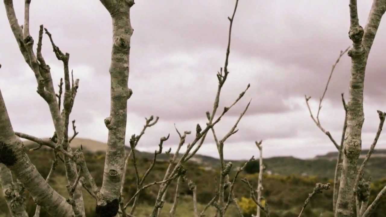 Pentax kx 720 HD cinema film test