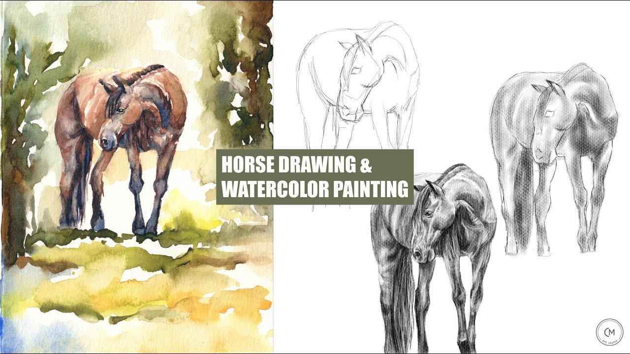 Simple Drawing and Watercolor Painting Techniques / 'Horse' #001 - YouTube