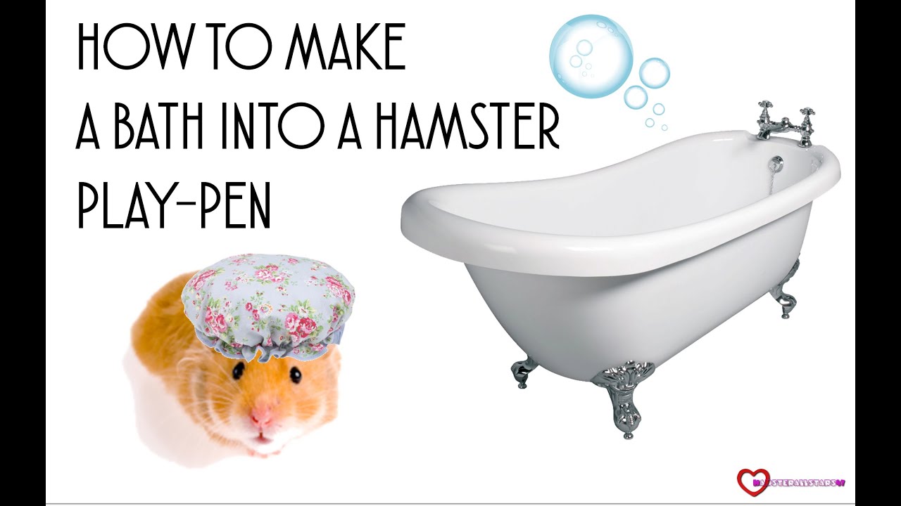 How to Make Your Bath into a Hamster Play Pen! - YouTube