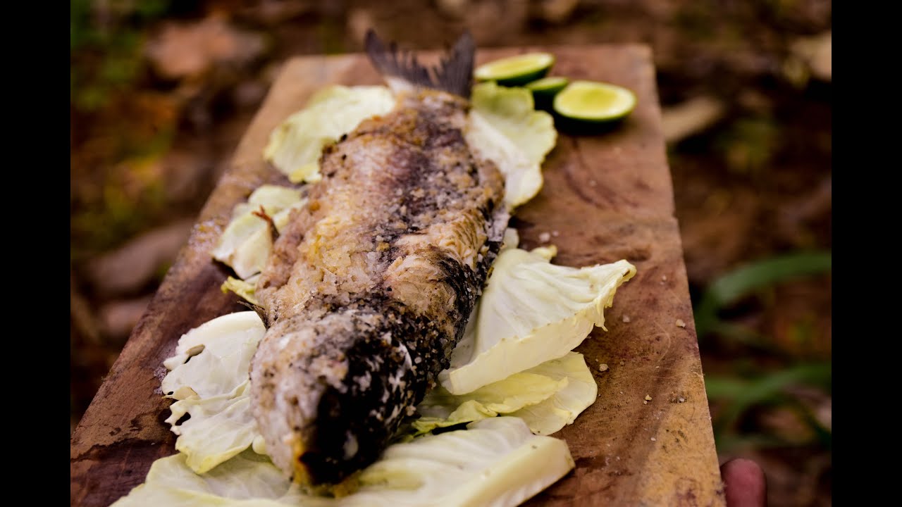 Cooking fish in jungle | Taste with Life - YouTube