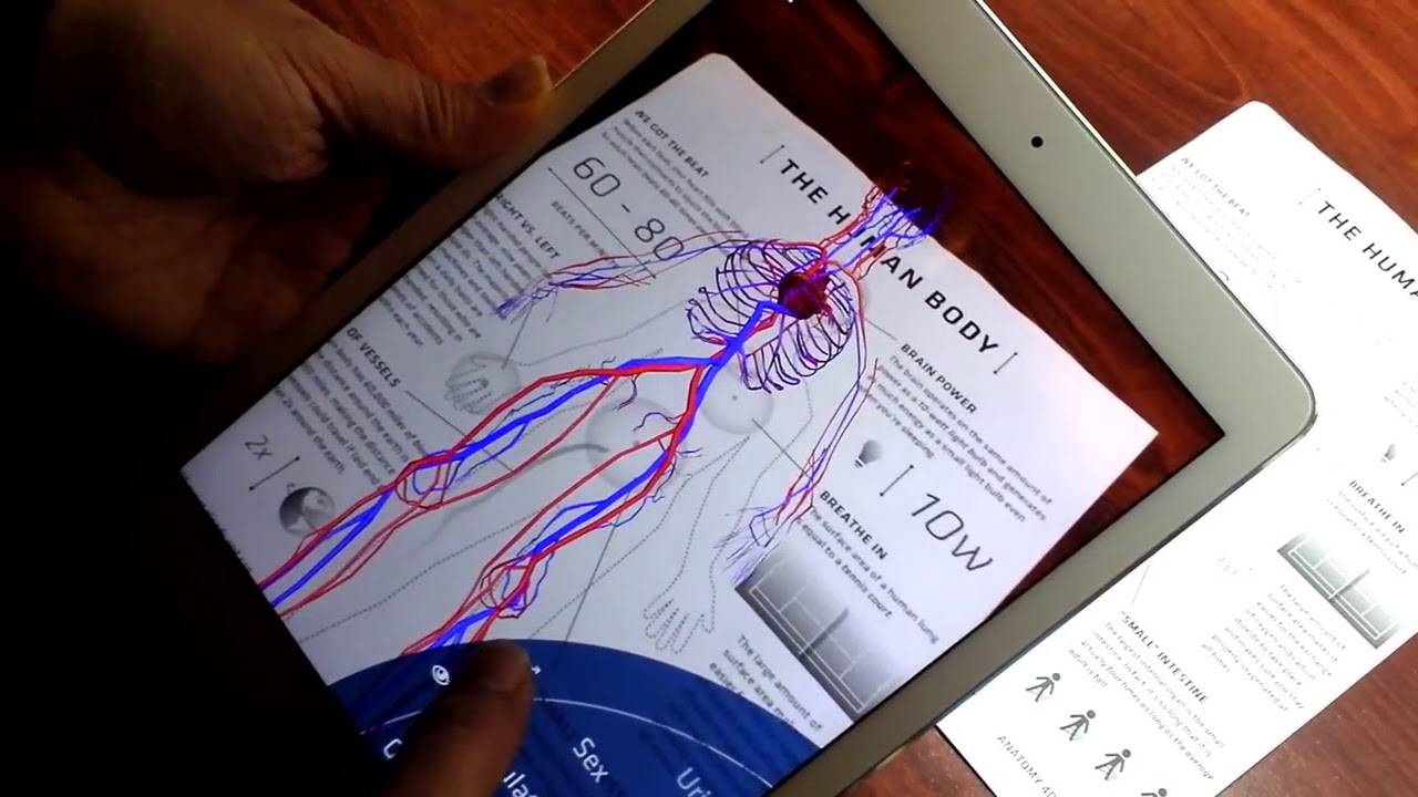 Anatomy 4D Body - YouTube