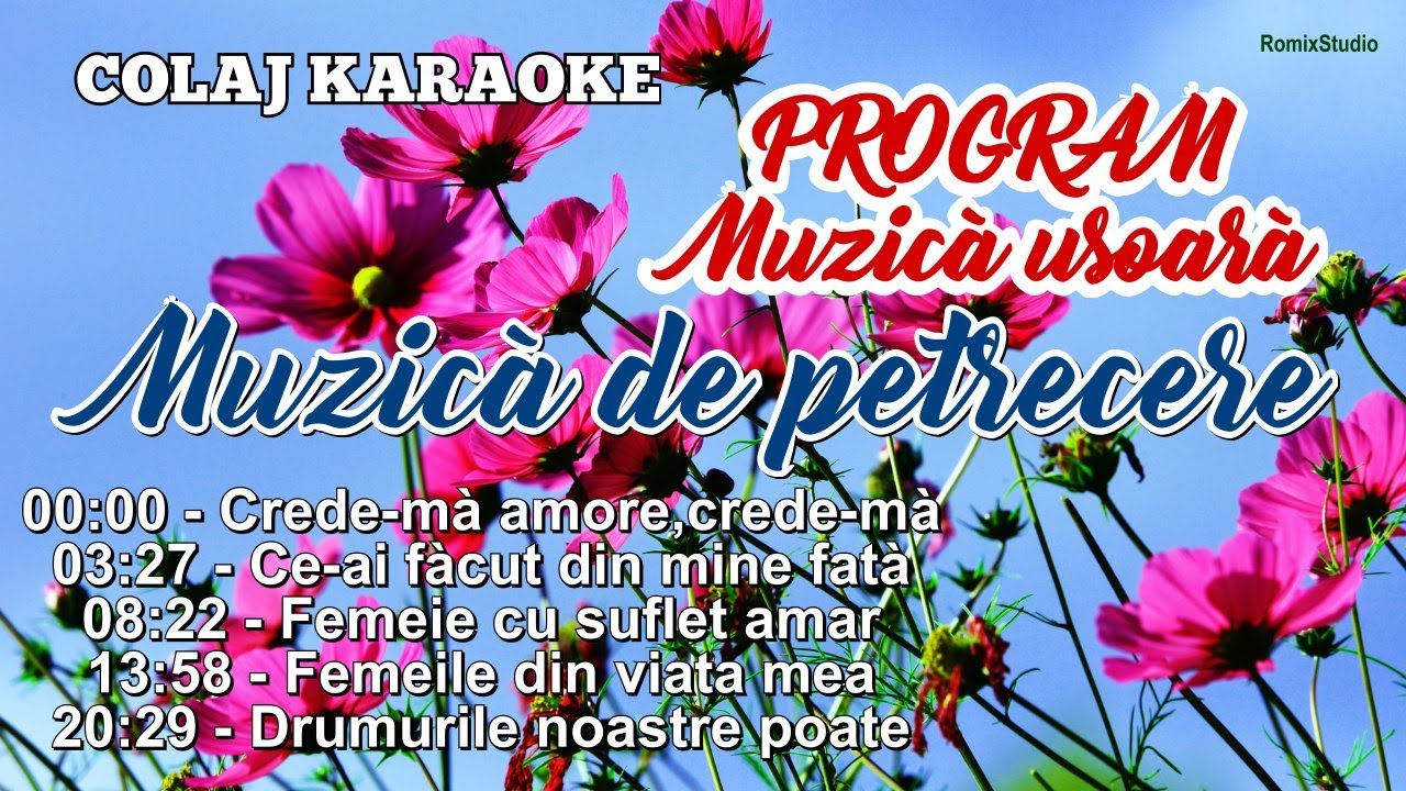 2024 🌟 COLAJ KARAOKE 🎶 Program de muzica usoara ️ Cantece de petrecere ...