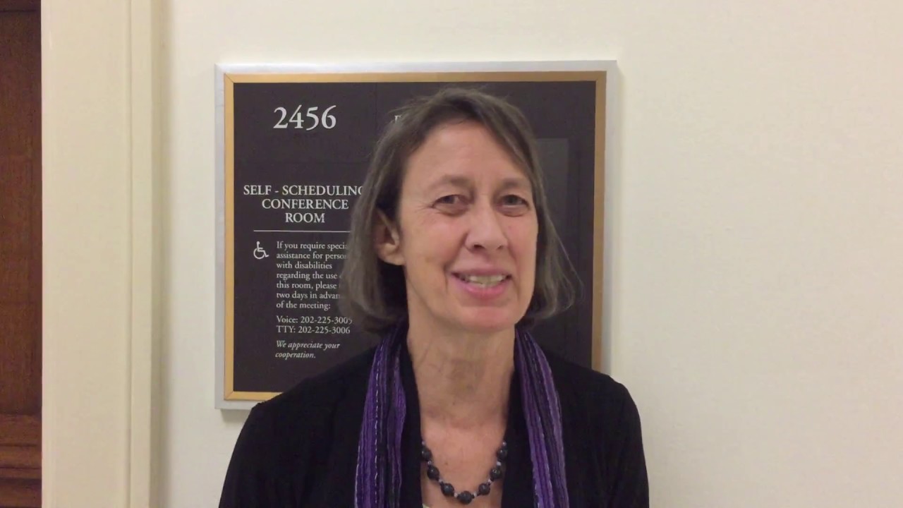 Justice Coordinator Jean Stokan On Human Rights Crisis in Honduras ...