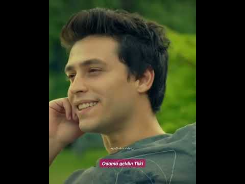 Tilki ve tutarsızlıkları🤠 - #shorts #aytil #ekinkoç #demetözdemir #sbsv #sanabirsırverecegim