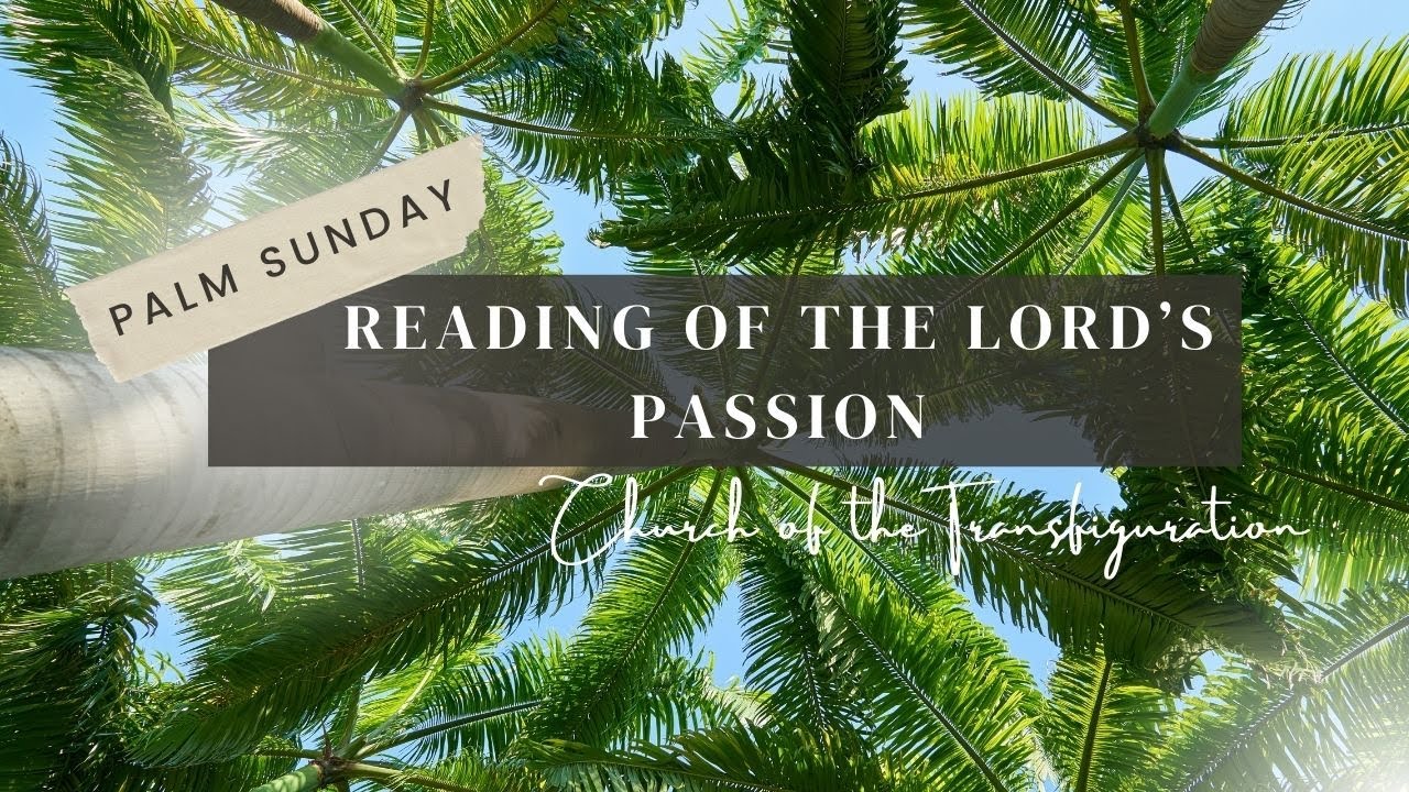 Palm Sunday of the Lord’s Passion Gospel Reading - YouTube