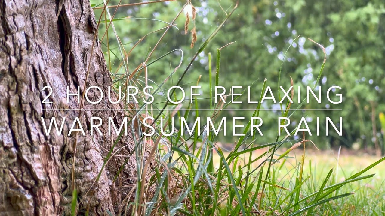 Relaxing Warm Summer Rain Shower - YouTube