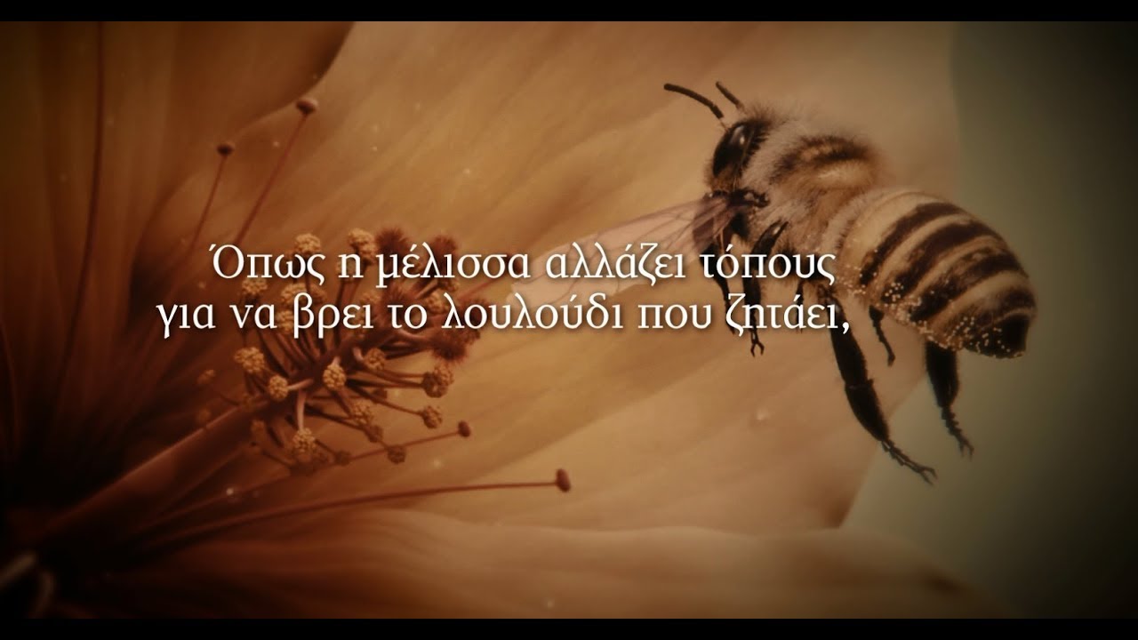 Οι τέσσερις εποχές της Μέλισσας (Κυριάκος Αθανασιάδης, Εκδόσεις ...