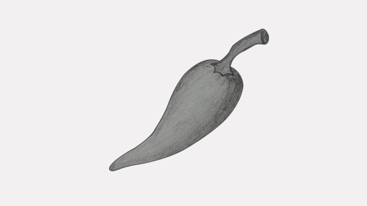 how to draw chili | how to draw a pepper step by step | chili drawing ...