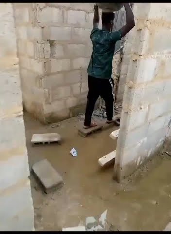 Timora Gardens Daily Progress 2023 07 18 17 04 53 - YouTube