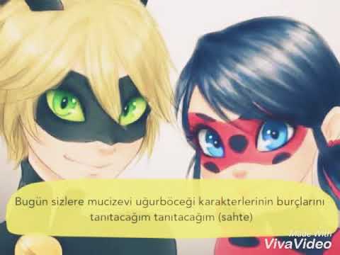 Miraculous ladybug burçları