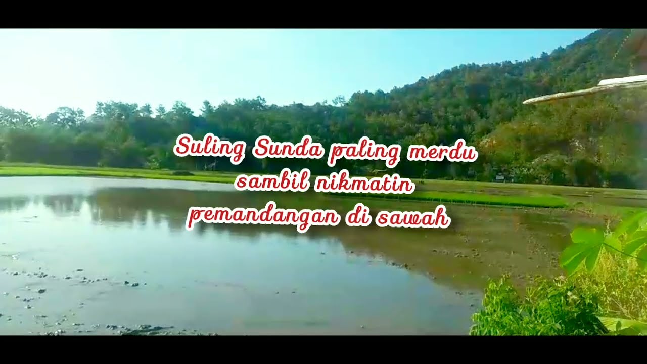 menikmati pemandangan sawah begitu indah sambil dengerin suling sunda ...