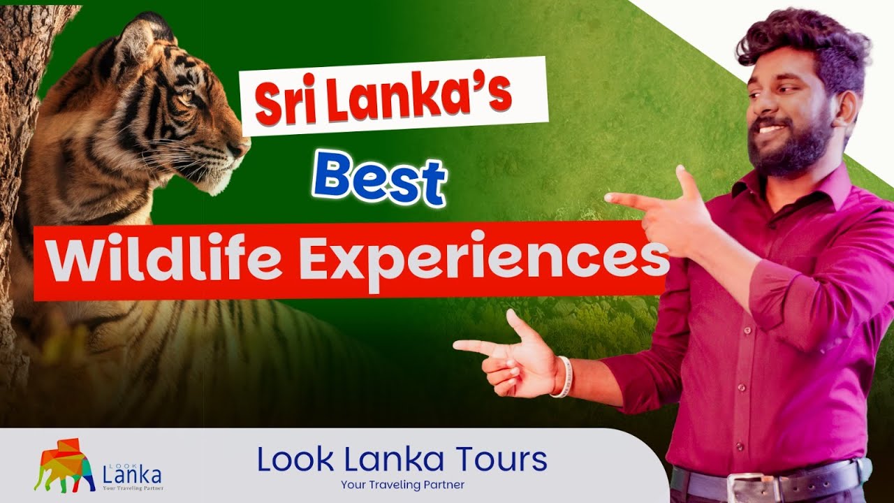 Sri Lanka’s Best Wildlife Experiences, Beyond Yala and Udawalawe | Look ...