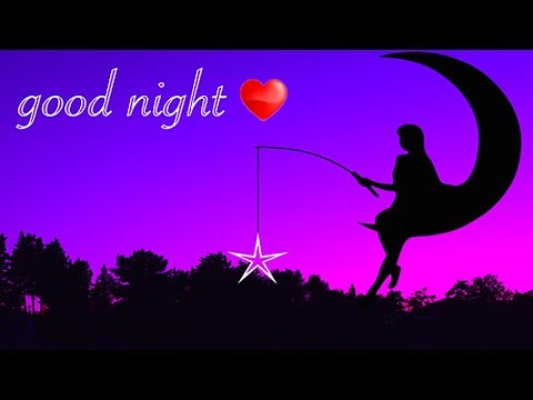 Good Night Special Love WhatsApp Status Video