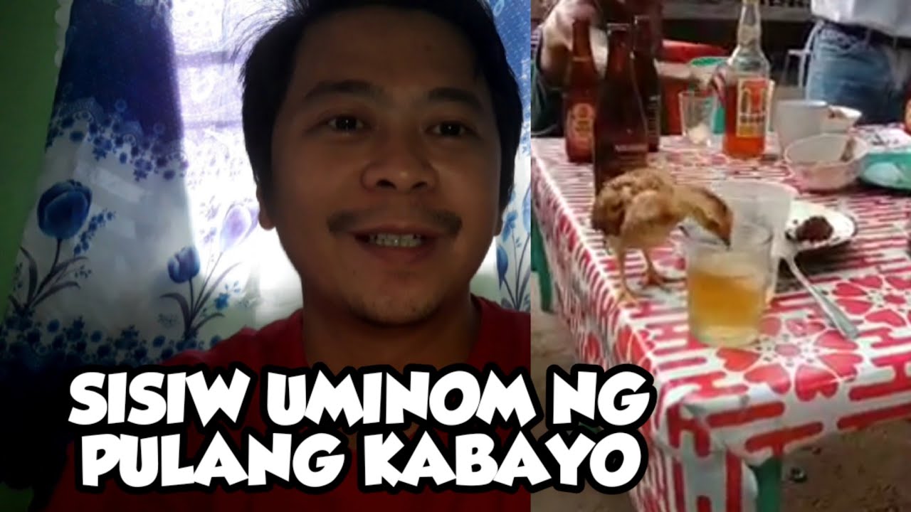 SISIW UMINOM NG ALAK LASING - YouTube