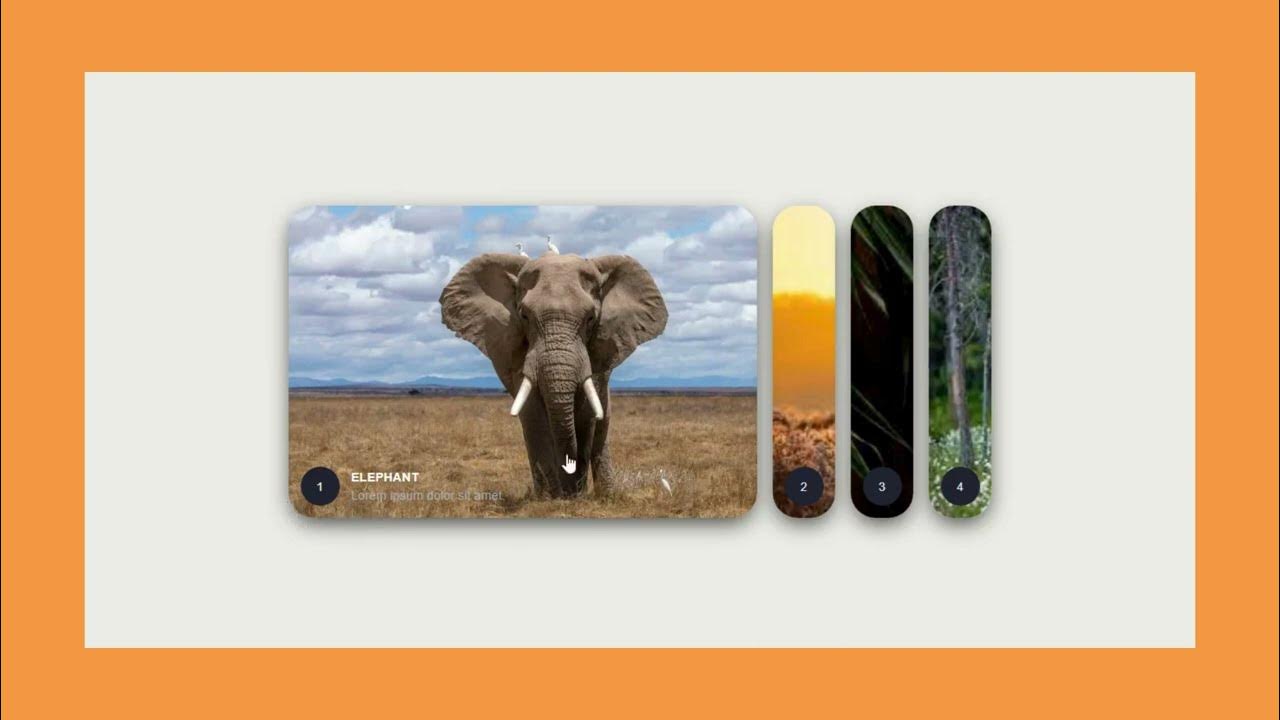 How To Create Expanding Image Gallery Using HTML And CSS |Expandable Card on Hover 2024 ...