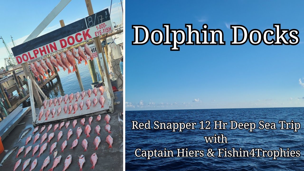 Dolphin Docks, Port Aransas, TX - Red Snapper 12 Hr Deep Sea Trip w ...