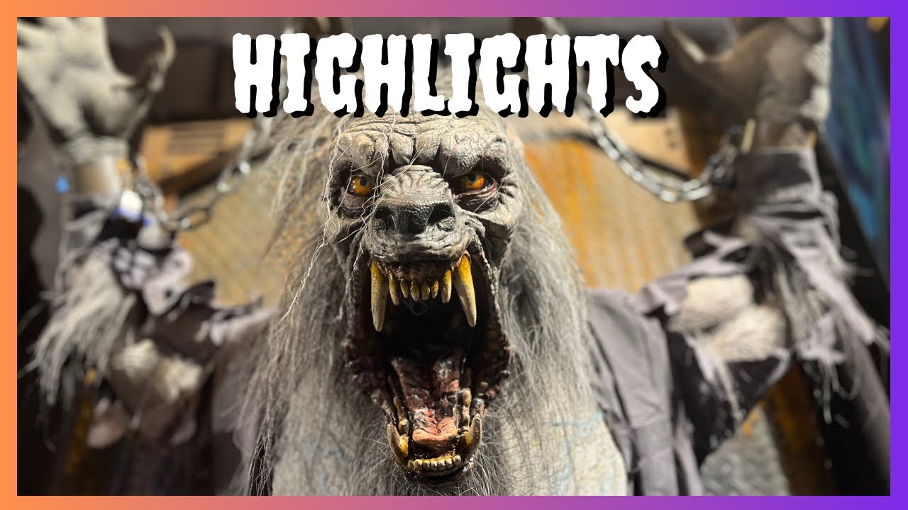 👻Transworld 2023 - Convention Highlights!🎃 - YouTube