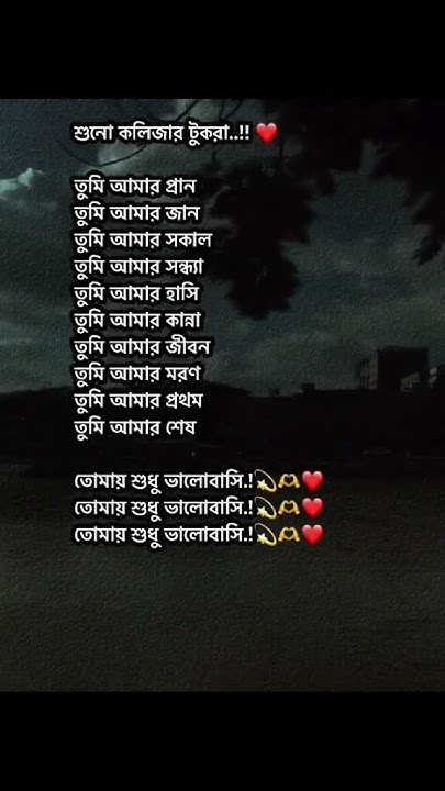 শুনো কলিজার টুকরা..__ ️ #স্ট্যাটাস_ভিডিও #বিডি - YouTube শুনো কলিজার টুকরা..__ ️ #স্ট্যাটাস_ভিডিও #বিডি - YouTube