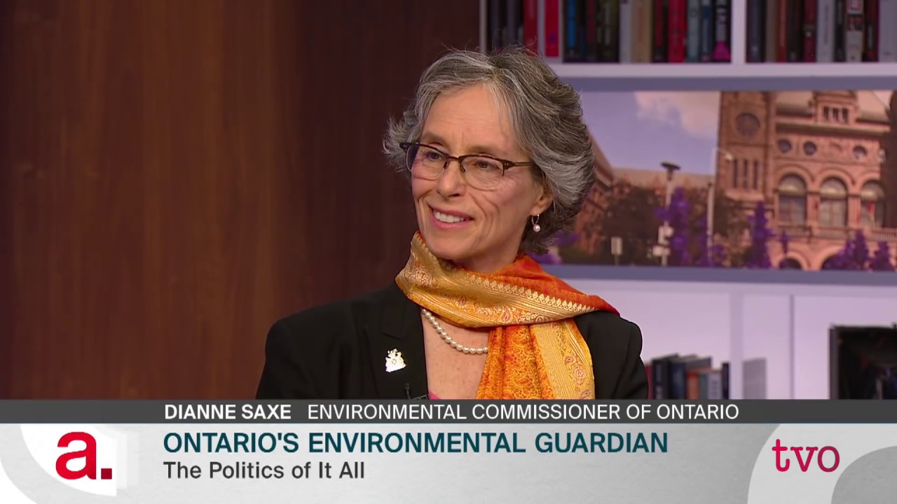 Our Environmental Guardian - YouTube