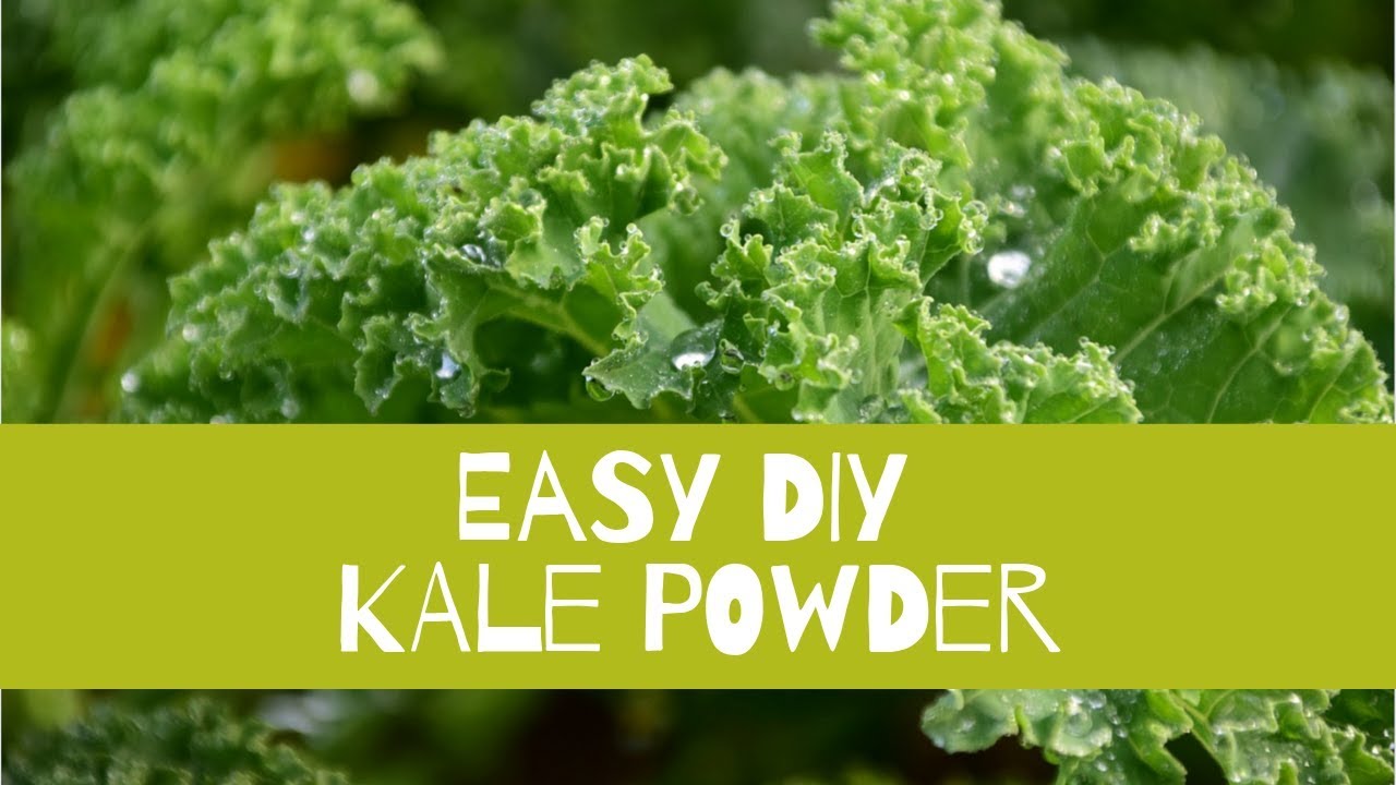 Make Your Own Kale Powder for Green Smoothies & More | EASY DIY | Kale ...