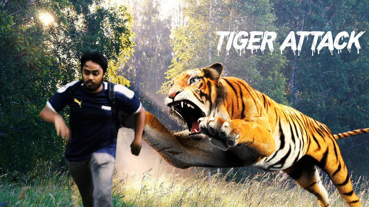 TIGER ATTACKs Man in Forest | Animal Attacks Boy in Jungle Movie ...