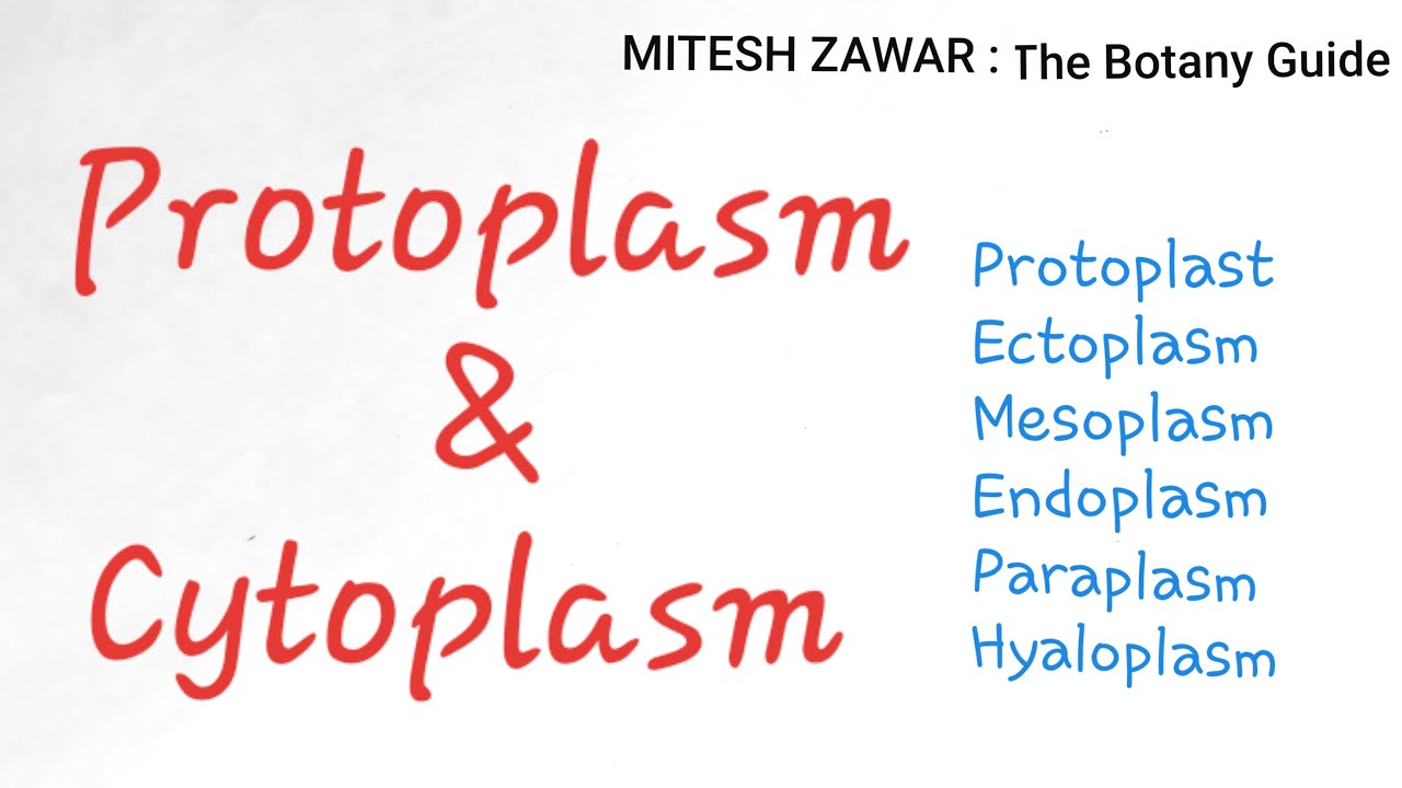 Protoplasm and Cytoplasm || Define Protoplast, Ectoplasm, Mesoplasm, Endoplasm || Hindi ...