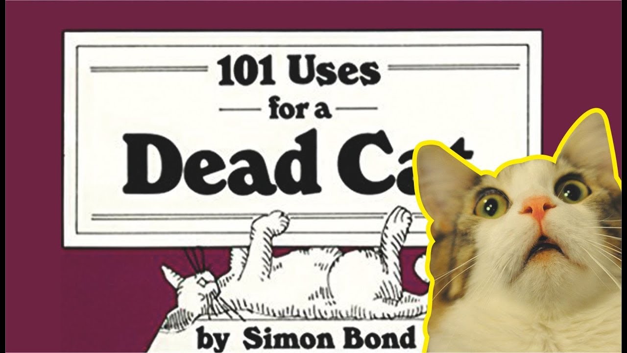 ЧОРНИЙ ГУМОР 101 Uses for a Dead Cat by Simon Bond - YouTube
