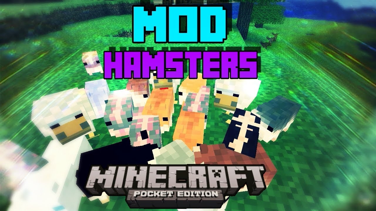 Mod de Hamsters MCPE 0.8.1 - YouTube