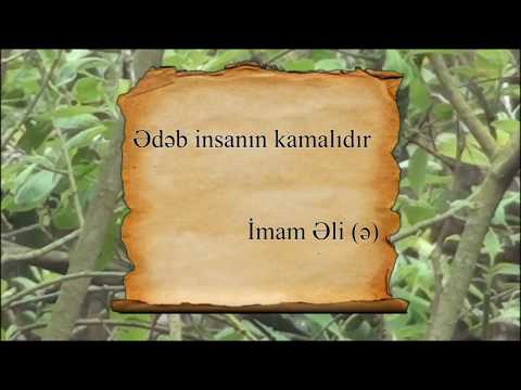 İmam Əli (ə) hədis #25