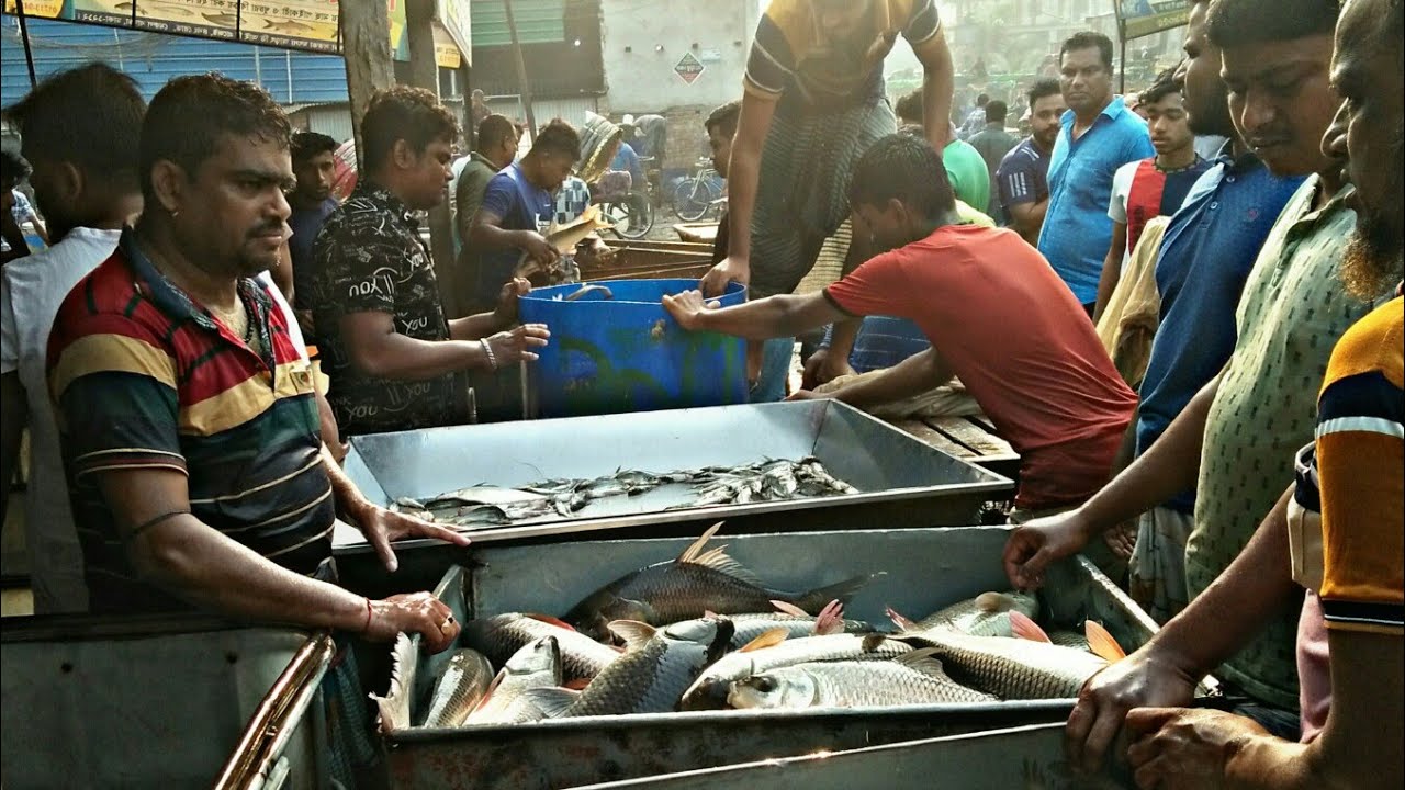 Big Wholesale Fish Market in Dhaka Bangladesh | Amazing Fish Market ...