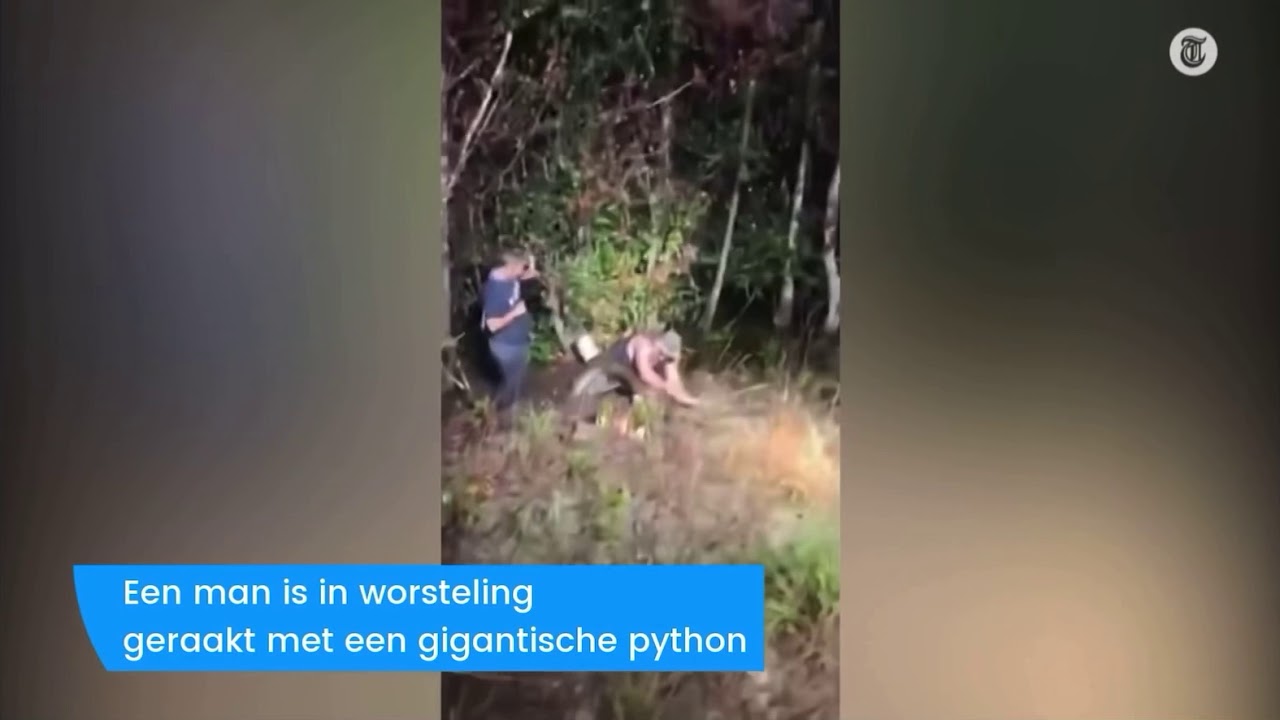 MAN VS BIG SNAKE - YouTube