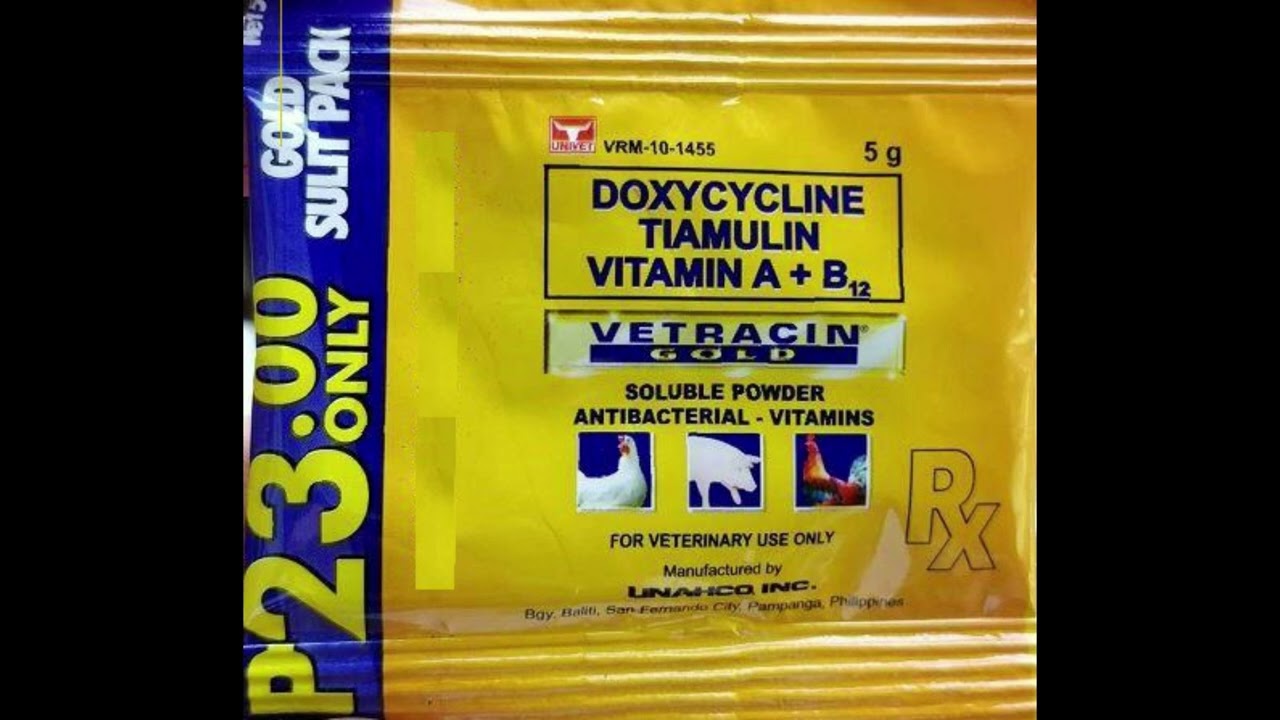 Vetracin Gold at Dextrose Powder para sa matamlay na aso :) - YouTube