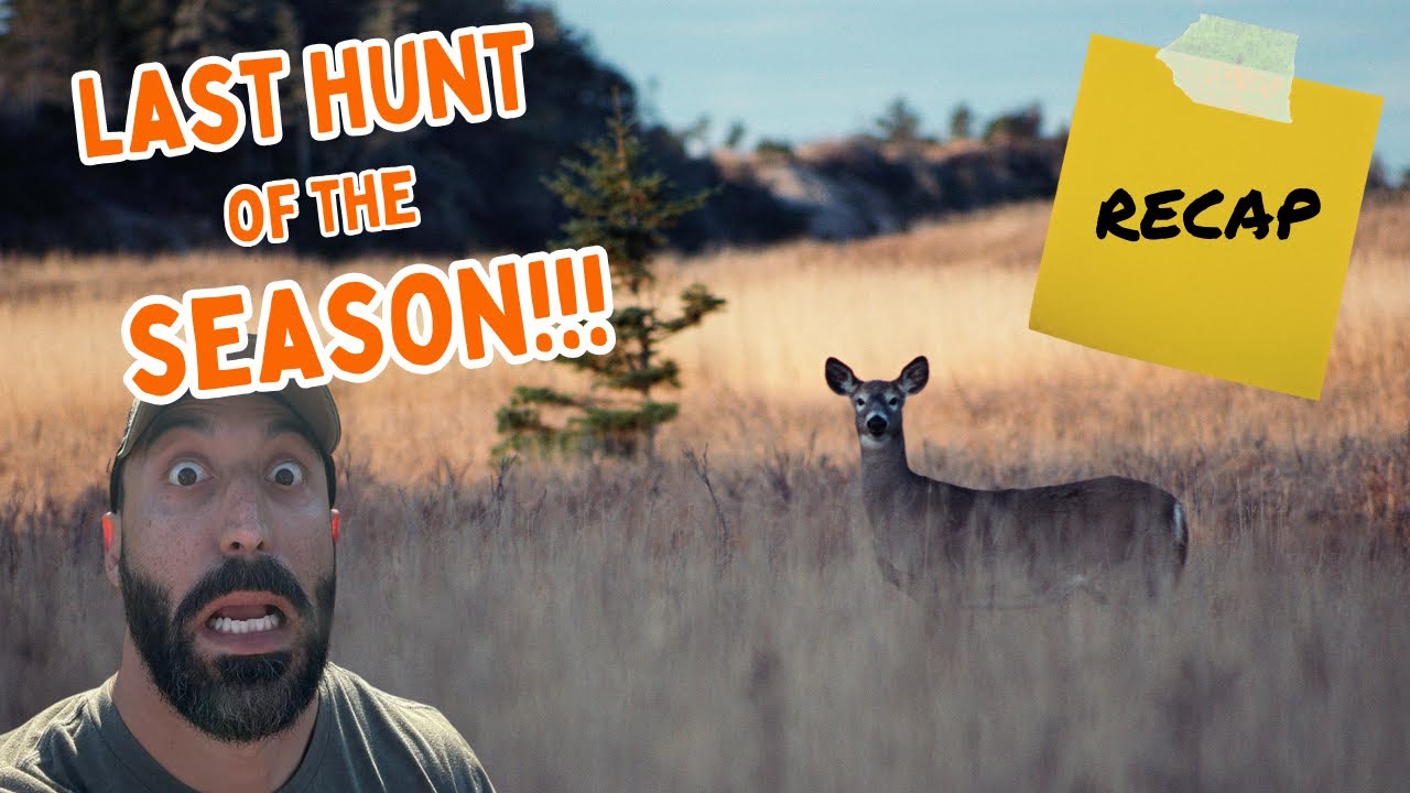 Five Deer at Last Light… and No Shot | Last Public Land Whitetail Hunt ...
