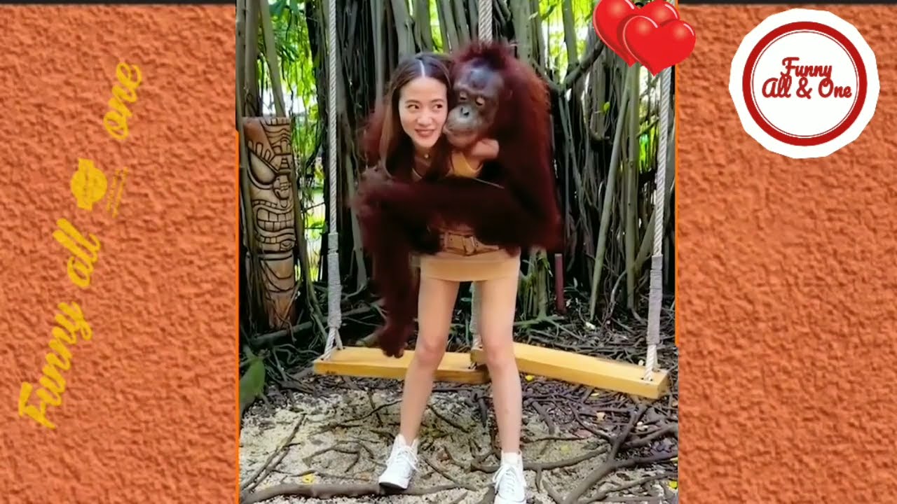 Must Watch Very Special Funny Video2022 Totally Amazing Comedy ...