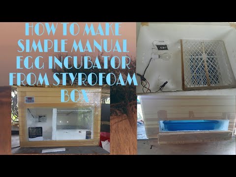 HOW TO MAKE SIMPLE MANUAL EGG INCUBATOR FROM STYROFOAM BOX - YouTube