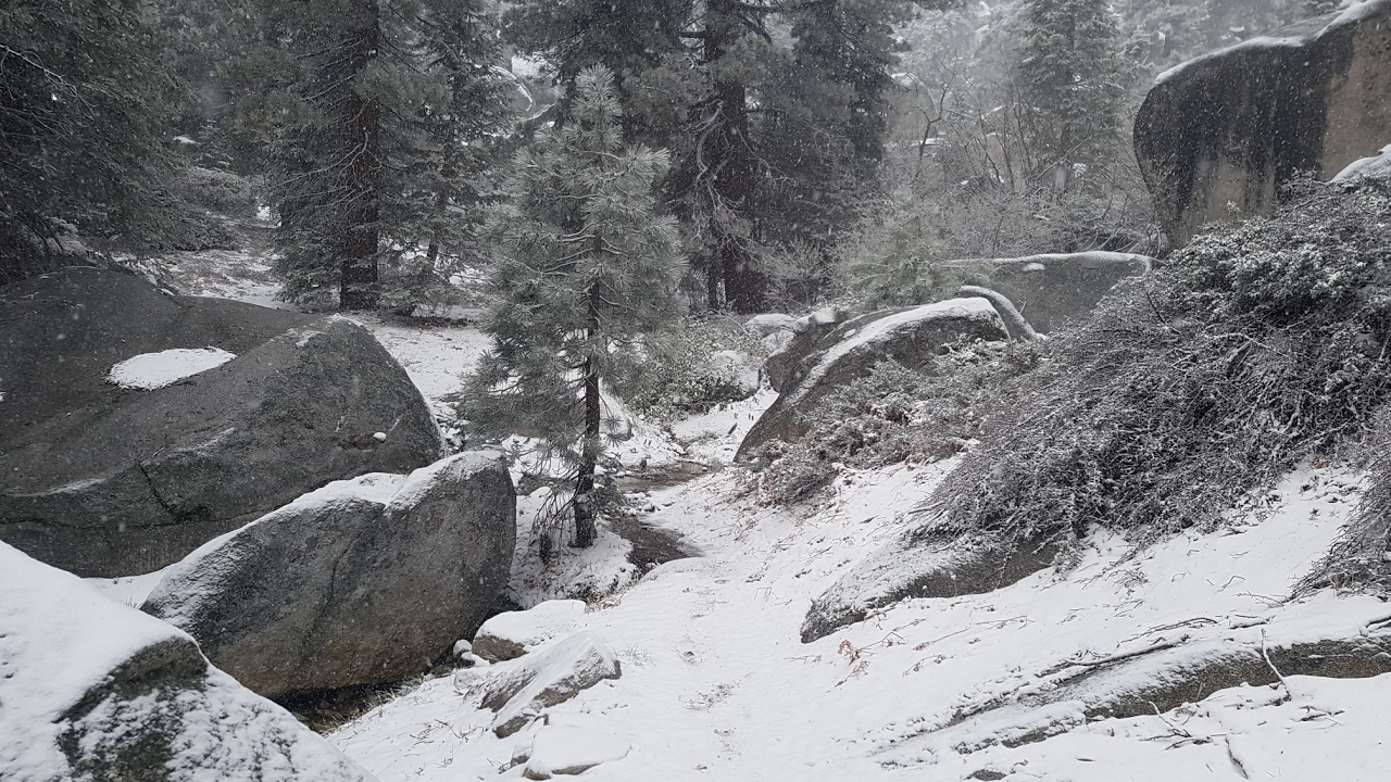 PCT #22 Cold - zima - YouTube