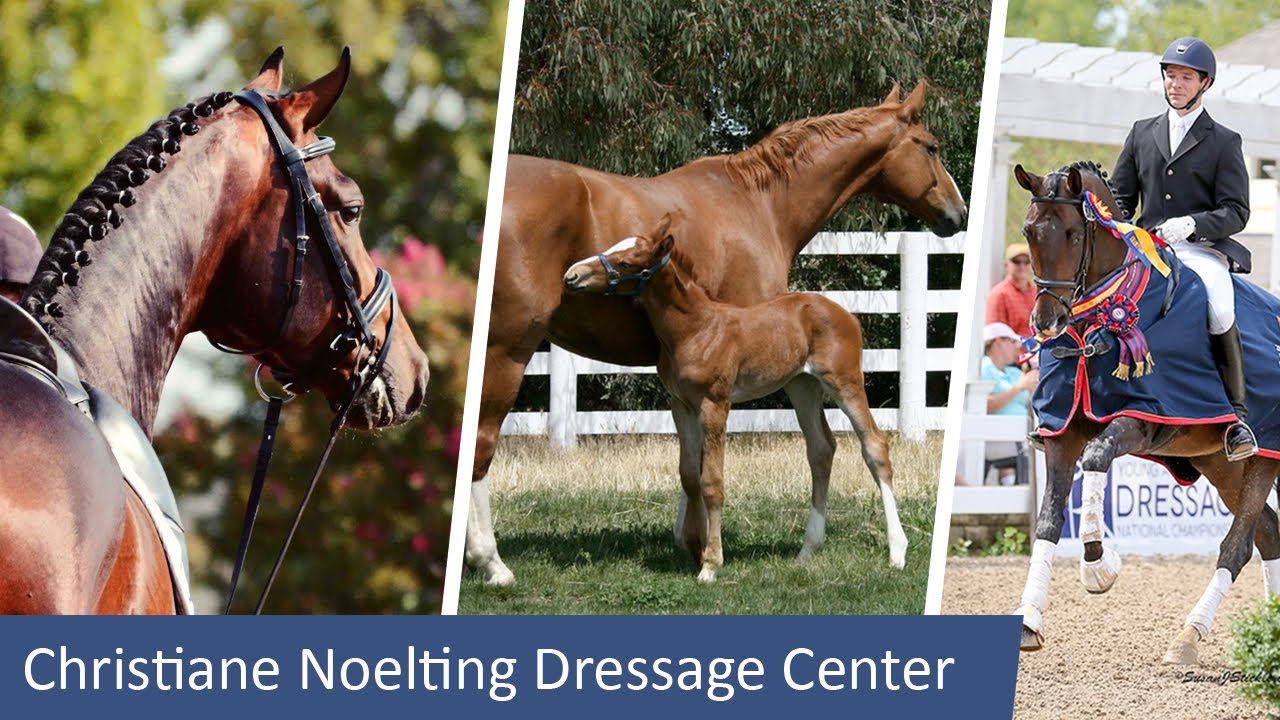 Welcome to CNDC! - YouTube