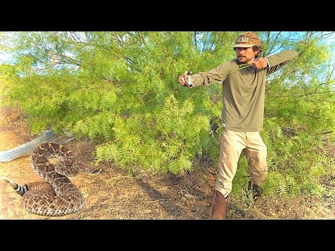 Slingshot Rattlesnake Hunt
