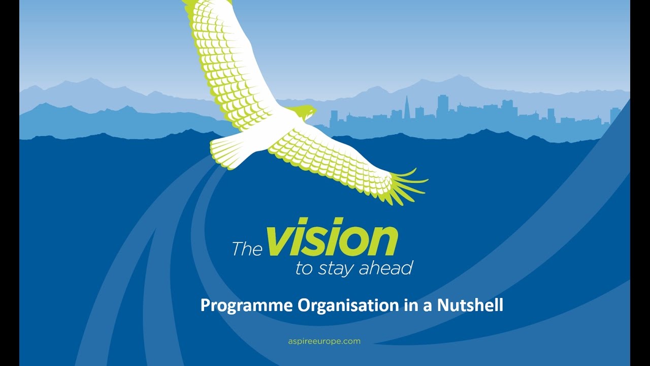 What is the MSP Programme Organisation? - YouTube
