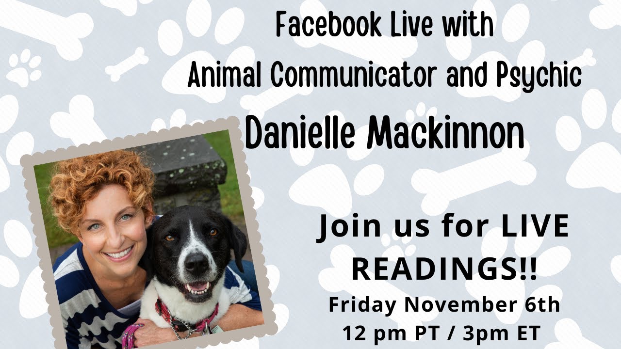 Animal Communicator, Danielle MacKinnon joins Liz! - YouTube