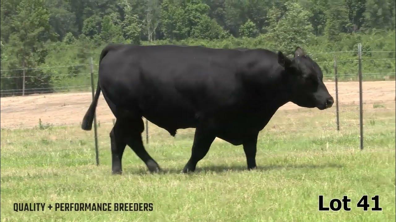 Hoover Farms Lot 41 - YouTube