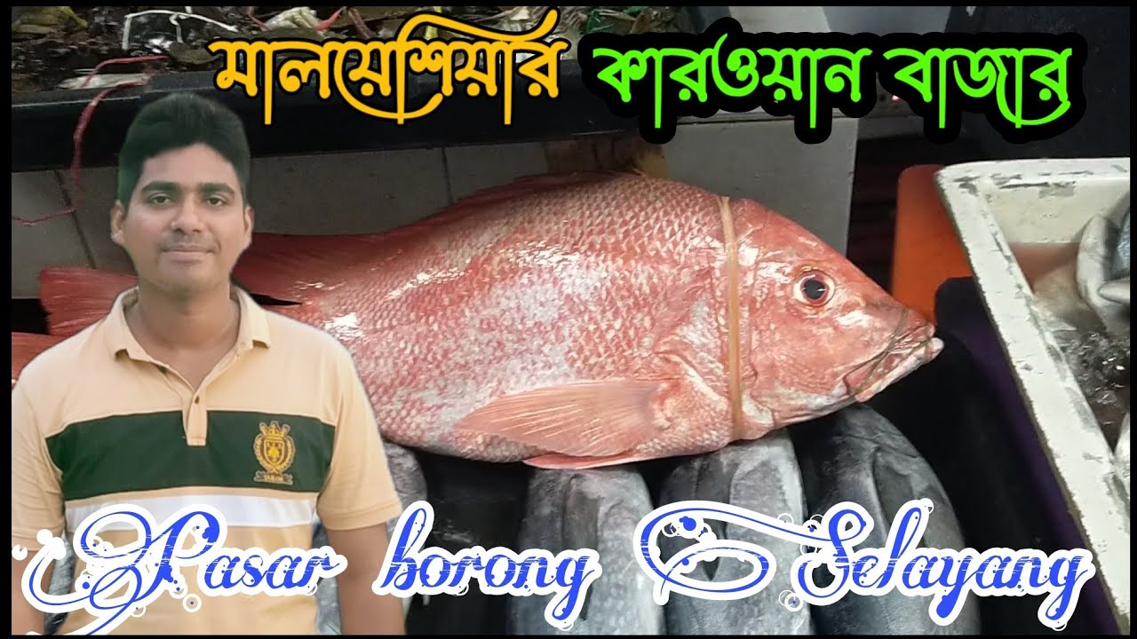 Pasar borong Selayang|Hasan Abdullah|fish|vegetable|Kuala Lumpur ...