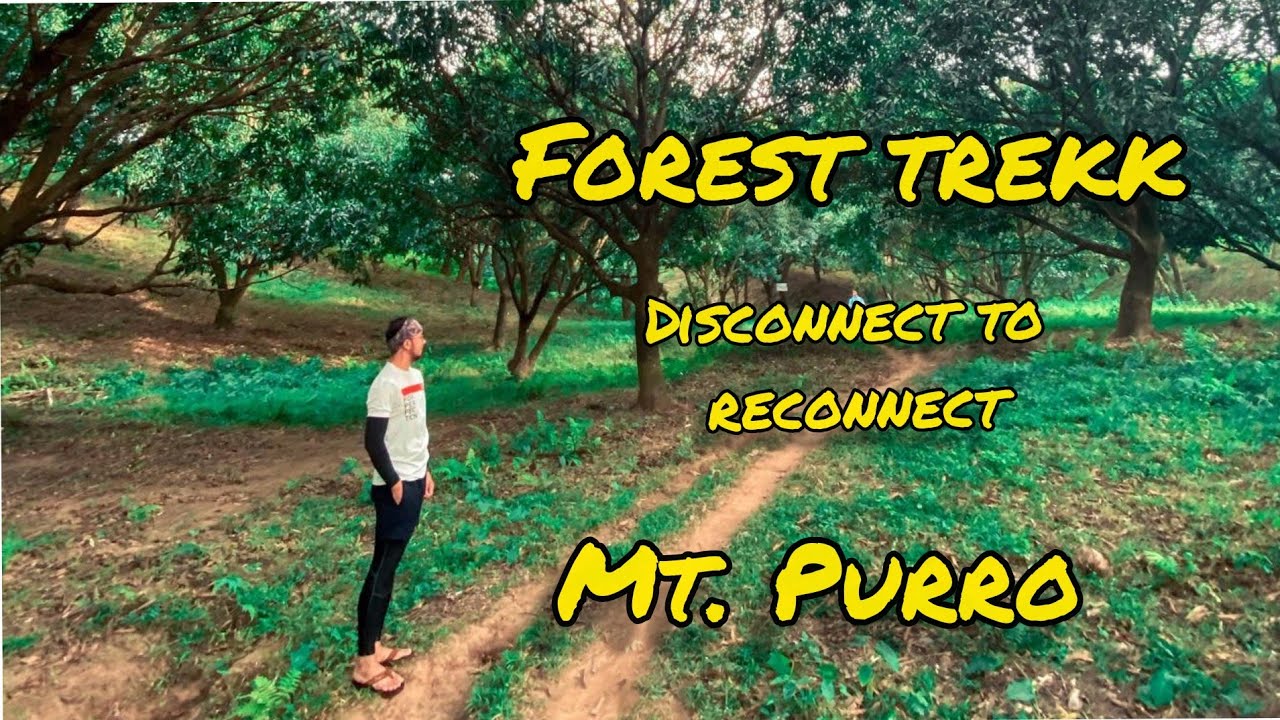 MT. PURRO | Forest Trek - YouTube
