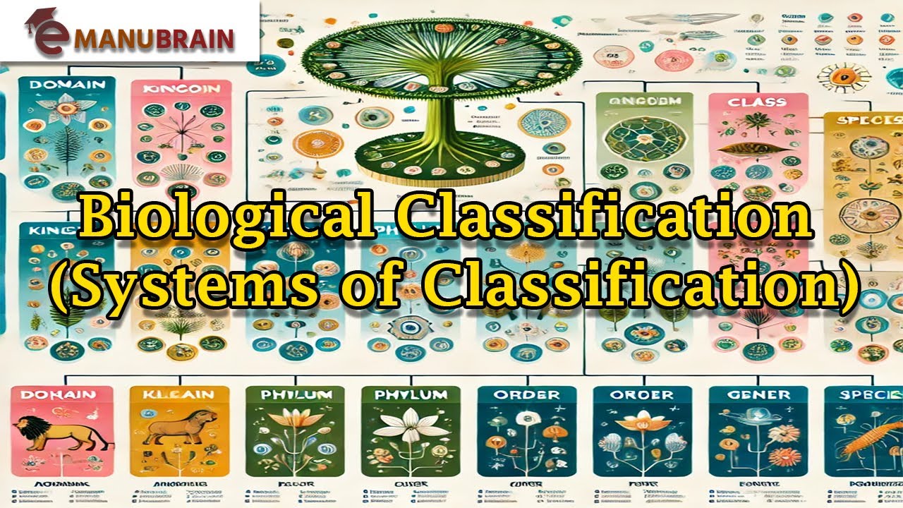 Biological Classification (Systems of Classification) | Emanubrain By ...